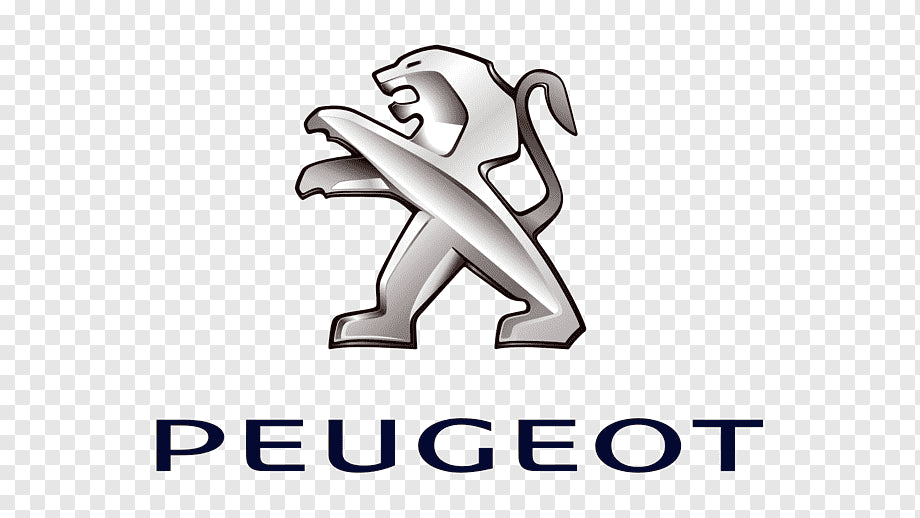 Huse Auto PEUGEOT – WWW.AUTOMANIA.RO